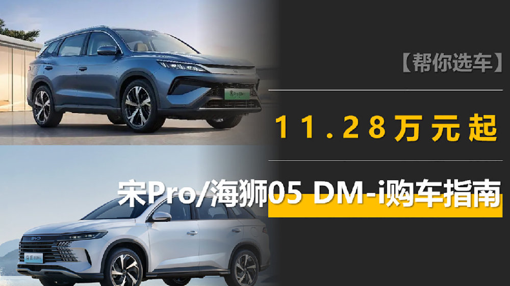 11.28万元起，DM5.0上车，宋Pro/海狮05 DM-i怎么选才划算？|海狮|中控|尺寸_新浪新闻