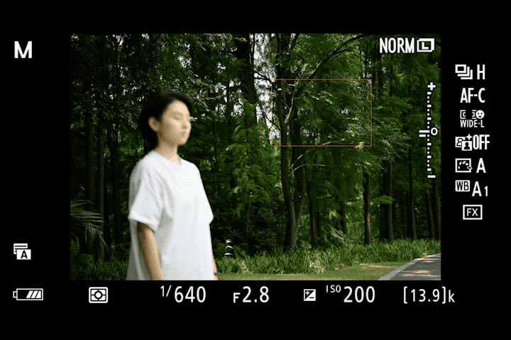 【a7club实战为王系列】唯卓仕 NF-Z 自动对焦转接环评测