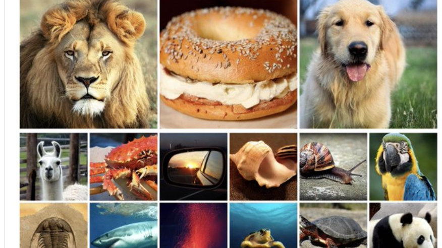 出圈的Sora带火DiT，连登GitHub热榜，已进化出新版本SiT|模型|插值|论文_新浪新闻