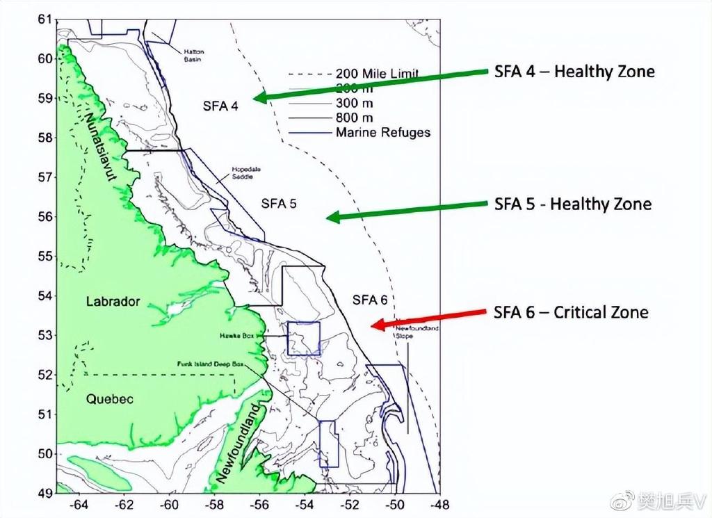加拿大渔业部初步商定冷水虾捕捞配额：SFA5和6不变，SFA4增加30%