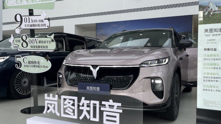探店丨901km续航、800V平台、5C超充，岚图知音真“985”学霸！-新浪汽车