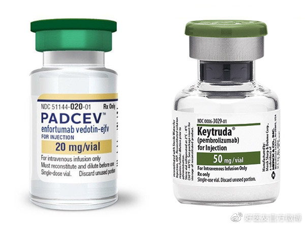 客观缓解率64.5%！ADC+免疫疗法，值得晚期膀胱癌患者期待