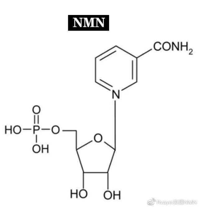 NMN为什么这么贵？