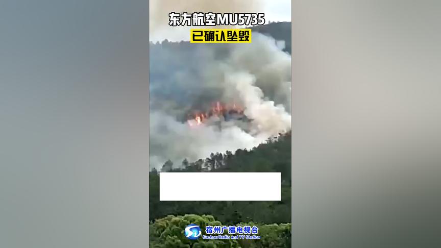 东方航空MU5735已确认坠毁，机上人员共132人，其中旅客123人、机组9人|旅客|机组|东方航空_新浪新闻