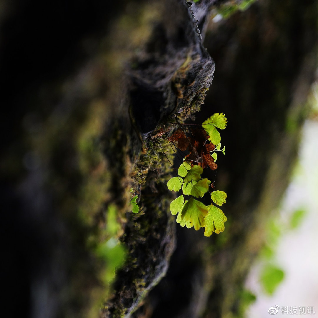 真假旗舰？探秘秘境恩施 挑战松下S5M2真性能