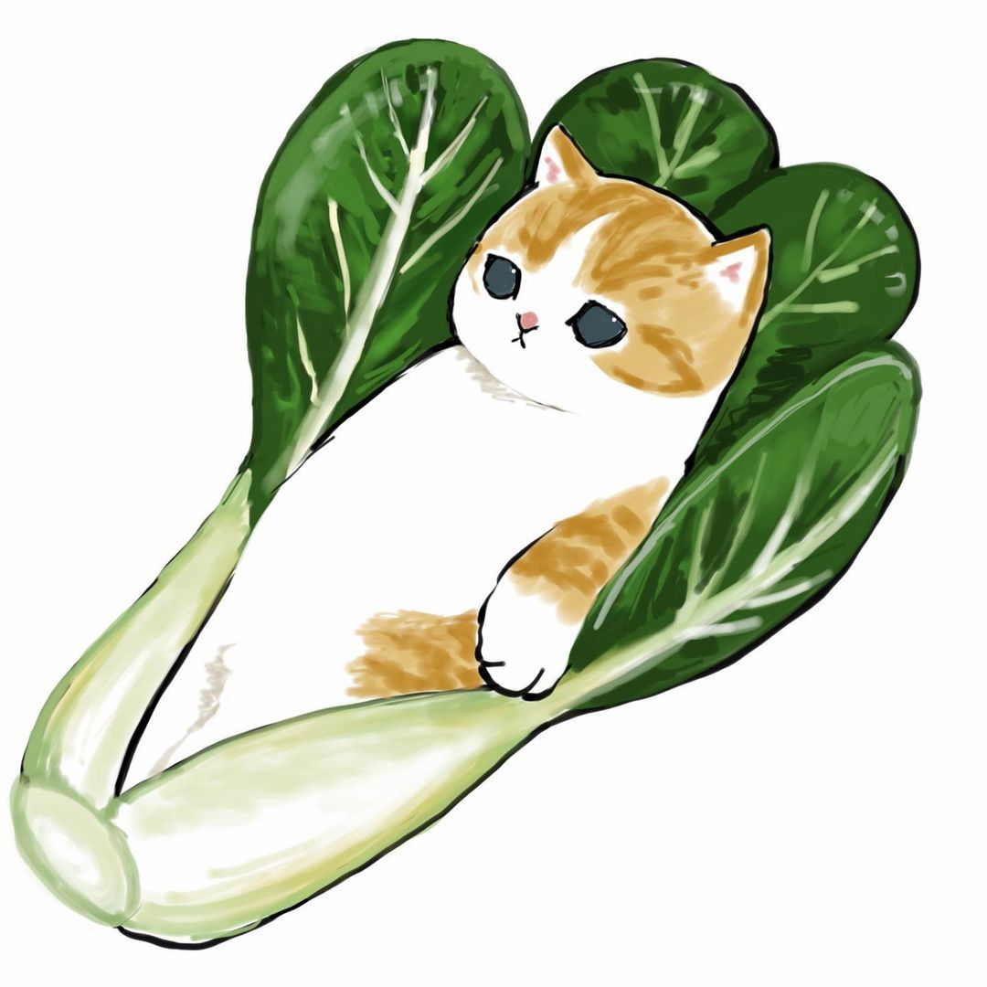 feca-e9cc7f914e9a2917af0c0cea216192c2.jpg (1080×1080)