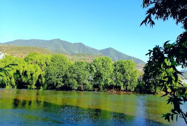 寻梦昭通“洒渔烟柳” 柳树 昭通 两岸 新浪新闻