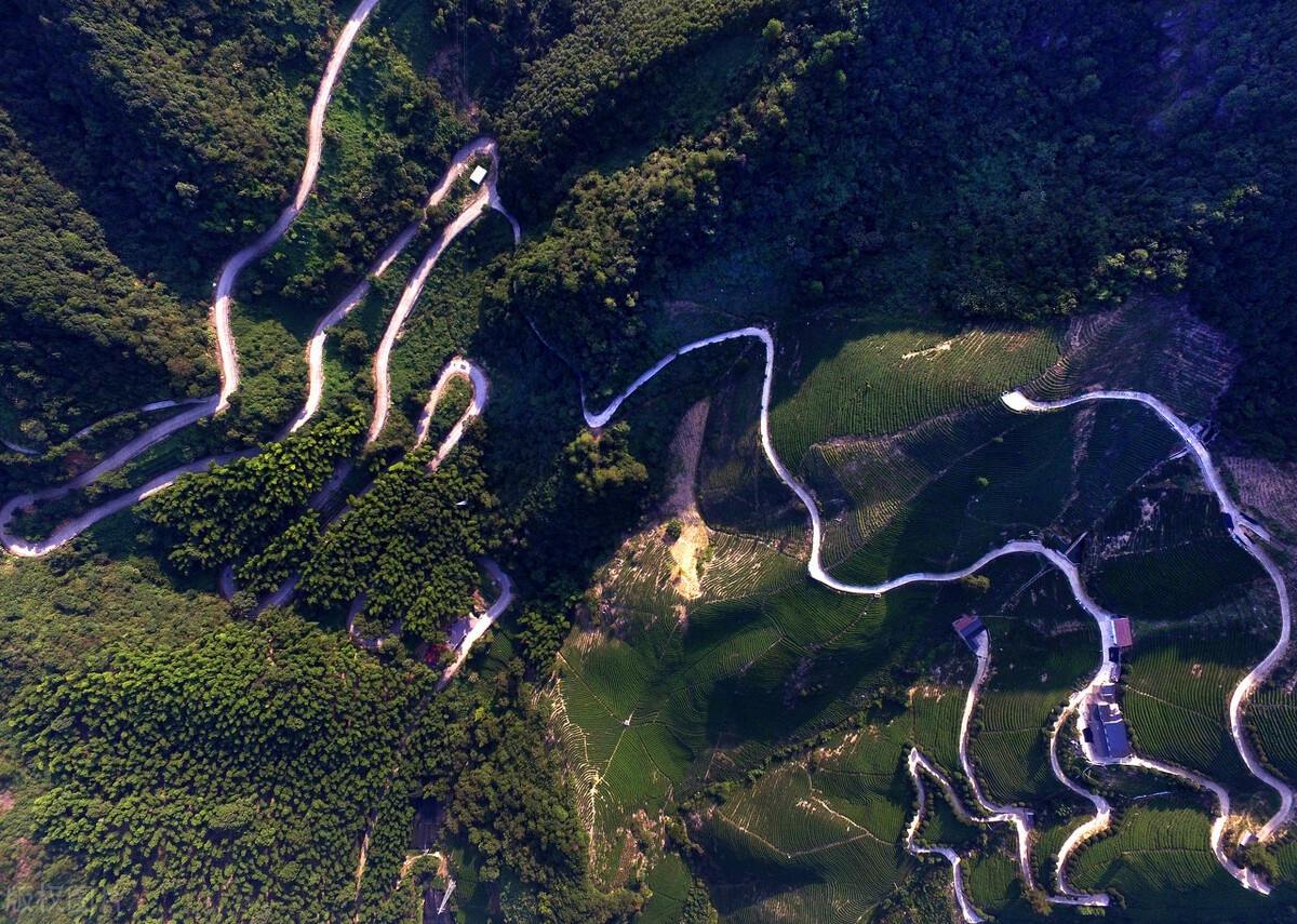 中国盘山公路美如画,最多有600个弯道,让人惊叹不已 公路 盘山 弯道 新浪新闻