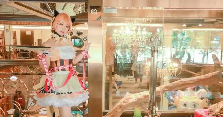 Love Live !凛喵情人节女仆cosplay|女仆_新浪新闻