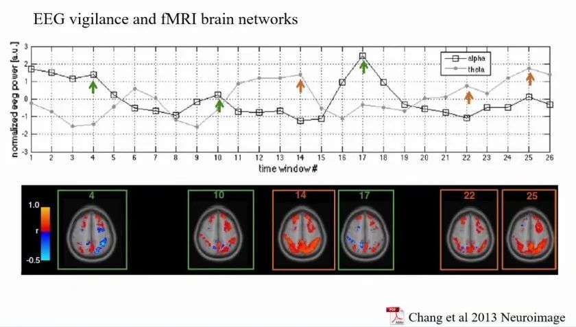 静息态EEG与静息态fMRI：合而不同