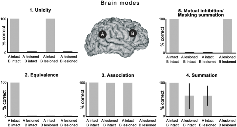 Brain: 在新的计算时代重新审视“大脑模式”| 脑科学顶刊导读030期