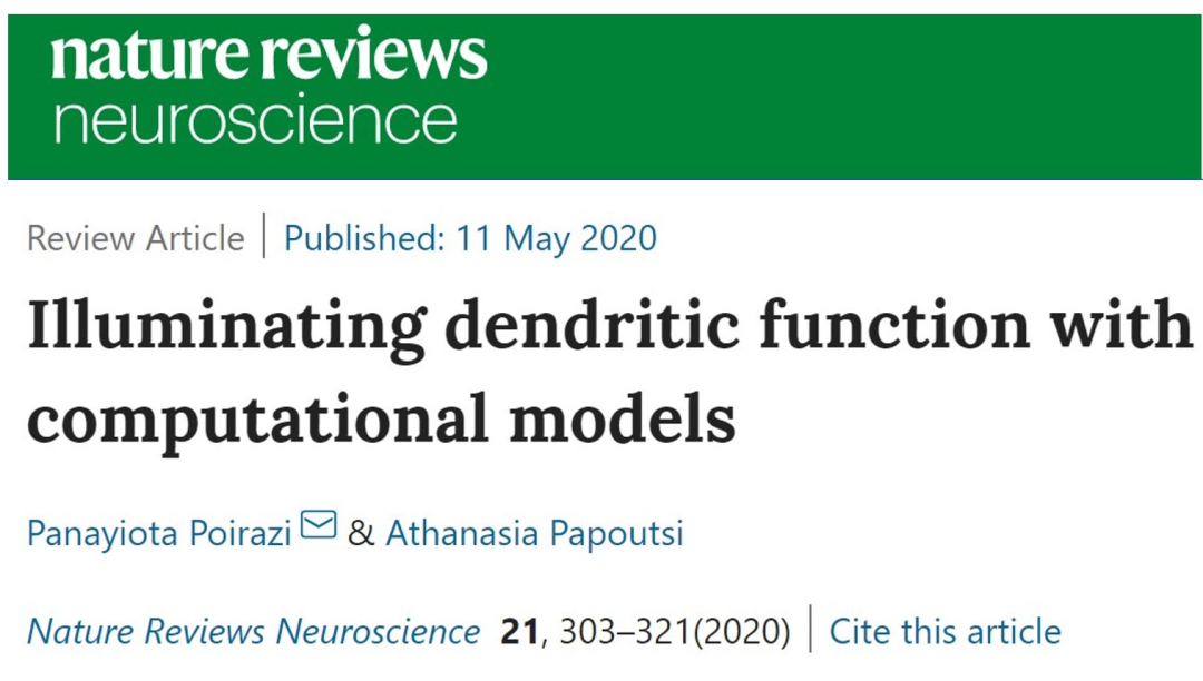 Nature Rev Neurosci典藏综述：树突百年，计算模型点亮树突功能