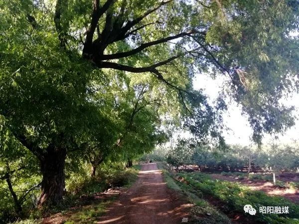 洒渔河:润泽昭鲁 生生不息 昭通 坝子 渔镇 新浪新闻