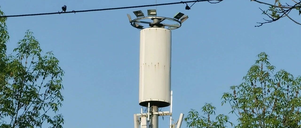 700M 5G部署：今年规模有多大？|5G网络|中国移动|5G_新浪新闻