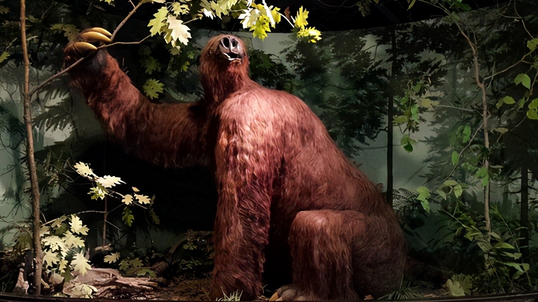 科学家发现“南美雪人”化石，史前巨人族真的存在吗？|化石|雪人|南美_新浪新闻