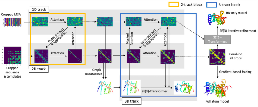 蛋白质结构预测工具AlphaFold2与RoseTTAFold同日开源