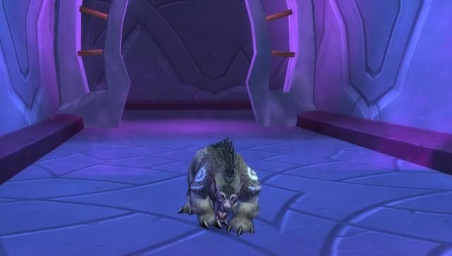 魔兽TBC：T5副本职业配置,3坦6治疗,剩下16个DPS位置怎么分配?