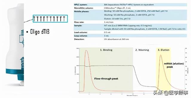 浅谈mRNA疫苗制备工艺