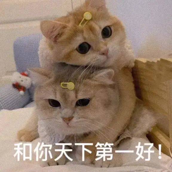 表情包 和你天下第一好! 拿图点赞、吱声~