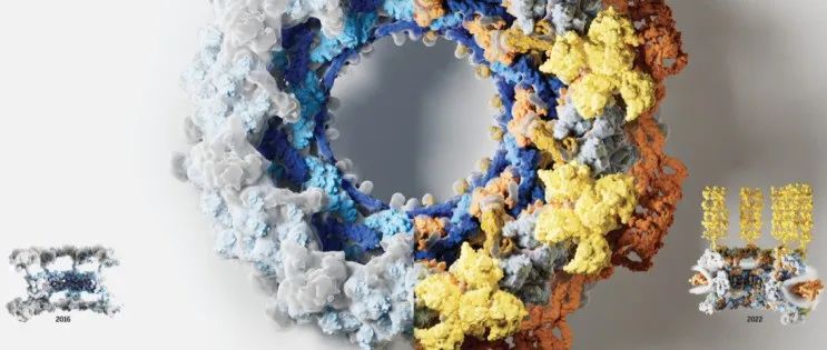 2.14亿个结构：AlphaFold预测几乎所有蛋白质结构，并免费开放数据集|蛋白质结构|数据集|蛋白质_新浪新闻