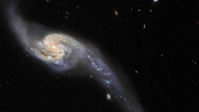 相互作用星系Arp 248，又称怀尔德三合星系（Wilds Triplet）……_新浪新闻