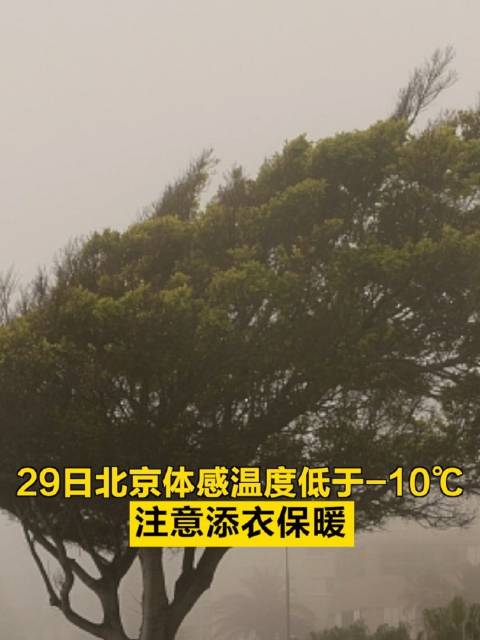 29日北京体感温度低于 10℃ ,注意添衣保暖 北京市 最高气温 新浪新闻
