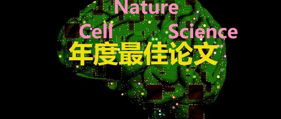 快讯：2022年中国神经科学重大进展公布，3篇Science，2篇Cell，1篇Nature 子刊封面|中国|猕猴_新浪新闻