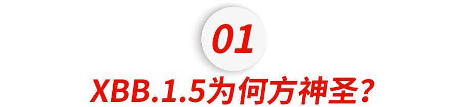 出身亚洲、横扫美国！一文看懂惊现上海的XBB.1.5毒株究竟什么来头？