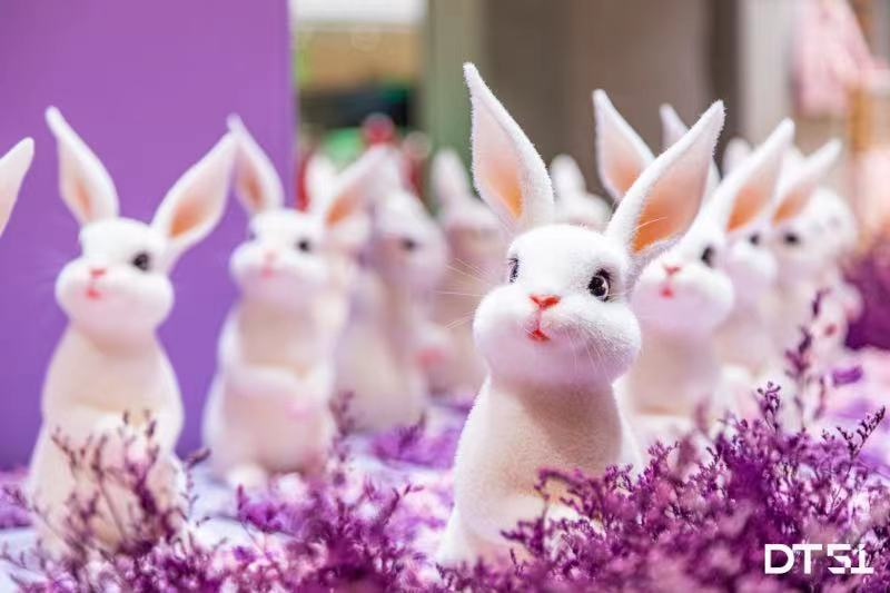 DT51正式启幕：区域商业消费迈入新篇章