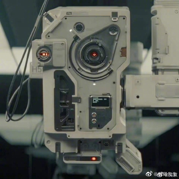 moss，小苔藓，你检测到他也超爱你了吗