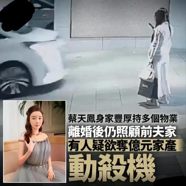 名媛蔡天凤遭碎尸最新后续:前夫落网,想偷渡出境,霸占上亿资产