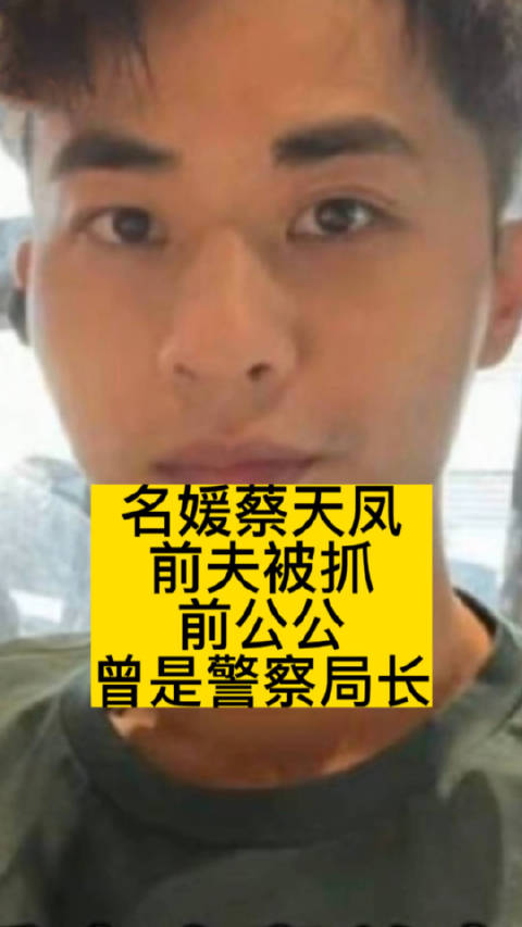 名媛蔡天凤的前夫被抓,前公公曾是警察局长 警察 新浪新闻