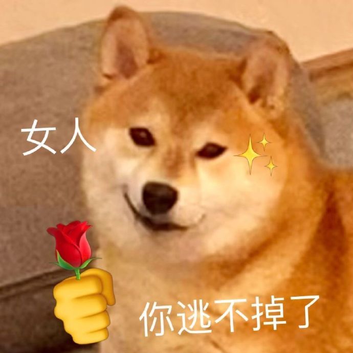 表情包来了 我只想要快乐 接受我 喜欢你 女人
