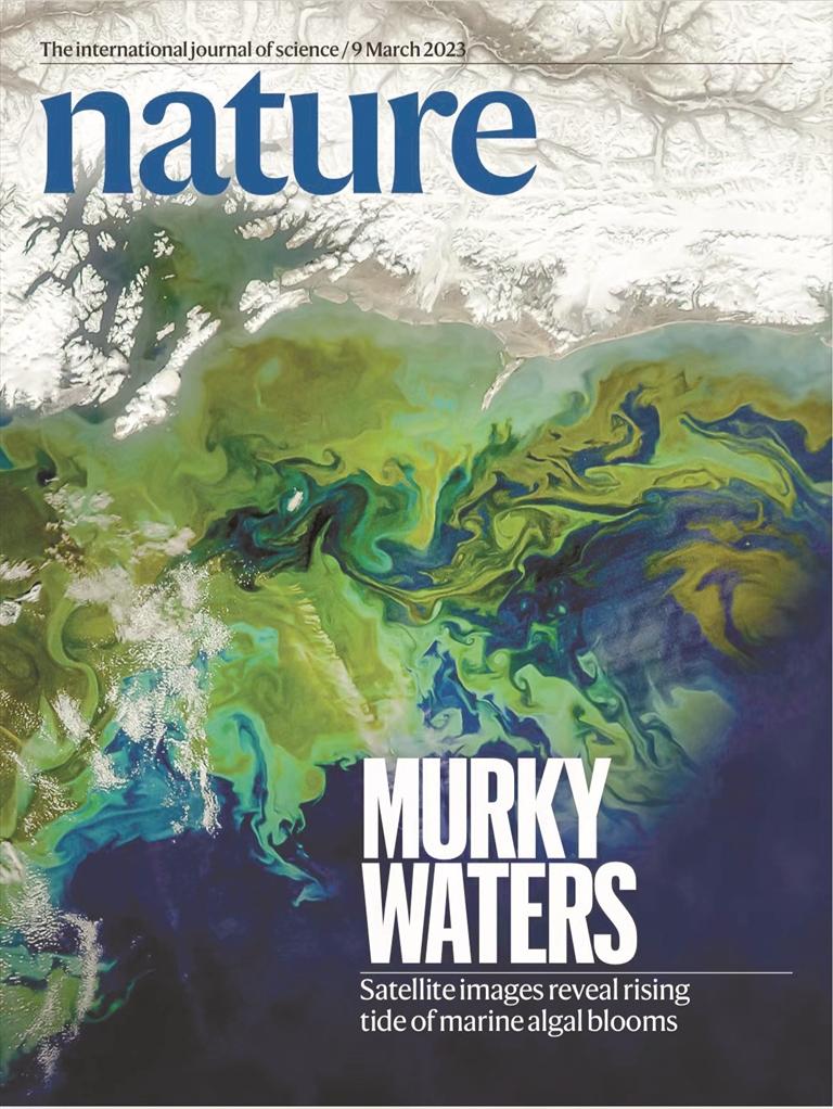南科大用算法监测全球海岸带藻华变化登上《自然》杂志封面|自然|冯炼|算法_新浪新闻