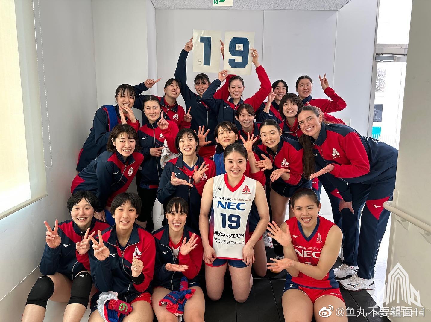 2022-2023赛季日本🇯🇵女排V联赛岡山県大会(3.11)……|岡山|失误|日本女排_新浪新闻