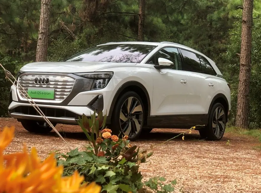 什么人才适合买上汽奥迪Q5etron，车主有话说