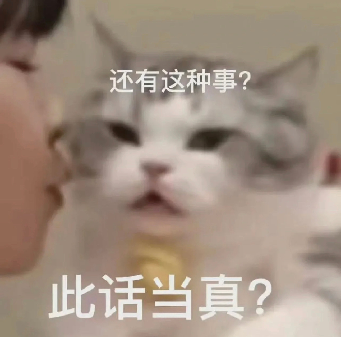 表情包来了 还有这种事?小助手表情包饭盆新浪新闻