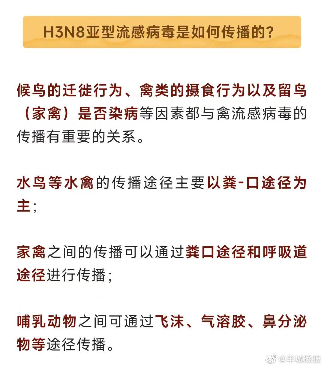 H3N8是一种什么病毒
