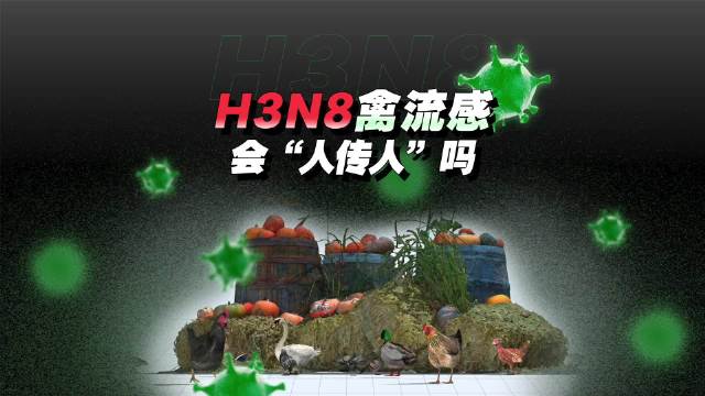 3月下旬，广东中山发现了一例H3N8禽流感病例……_新浪新闻