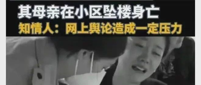 武汉被撞学生妈妈坠楼前死于网络暴力!从这4个方面去应对网爆 刘学州 新浪新闻