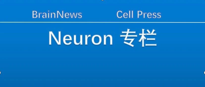 收藏| Neuron最新综述：神经可塑性和认知相关的突触后NMDAR信号的研究新进展|传导|突触|可塑性_新浪新闻
