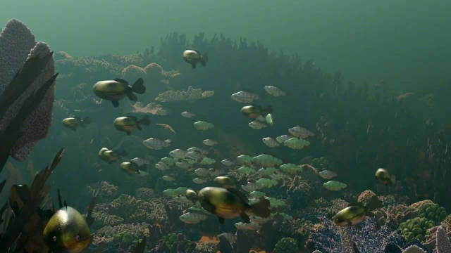 Infinigen：无限高质量3D数据的生成器……|3D_新浪新闻