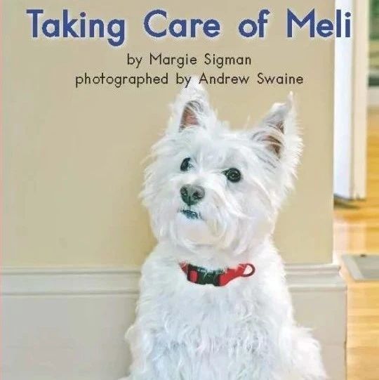 【英文有声绘本】海尼曼G2 37 Taking Care of Meli|狗_新浪新闻