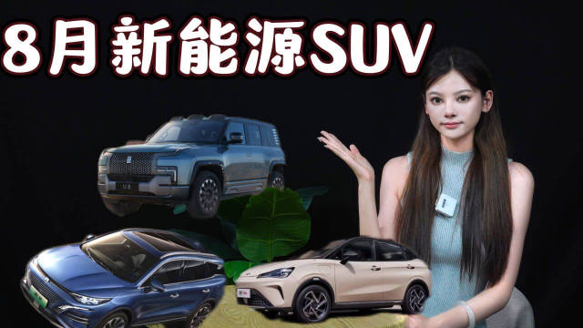 8月新能源SUV：仰望U8领衔，哪吒V改头换面，腾势N8火力全开！|行业新闻|5-8万suv|新能源_新浪新闻