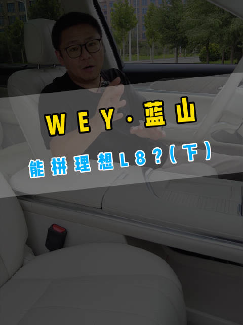 六座家用SUV：WEY蓝山PK理想L8，该买谁？（下）|用车宝典|25-35万suv|新能源_新浪新闻