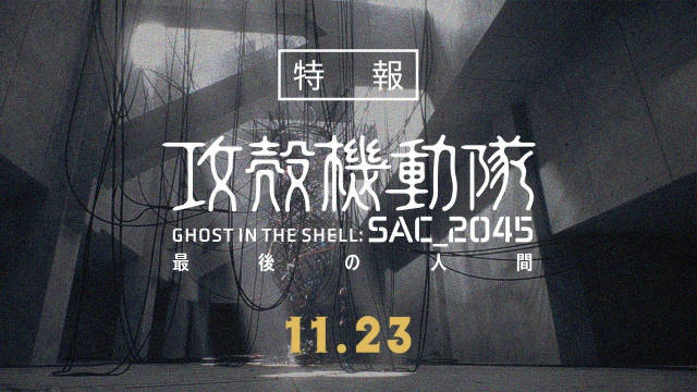 「攻壳机动队 SAC_2045」新作剧场版特报PV公开！11月23日上映！|攻壳机动队_新浪新闻