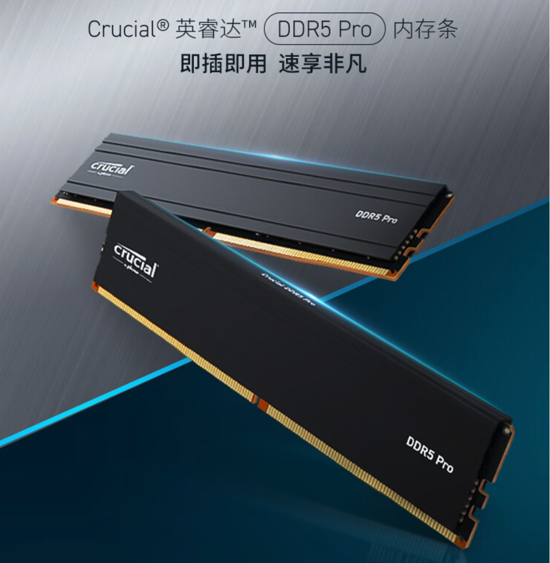 英睿达 Pro 系列 DDR5-6000 内存上架：1.1V 电压，24G*2 1649 元|英睿达|内存|IT之家_新浪新闻