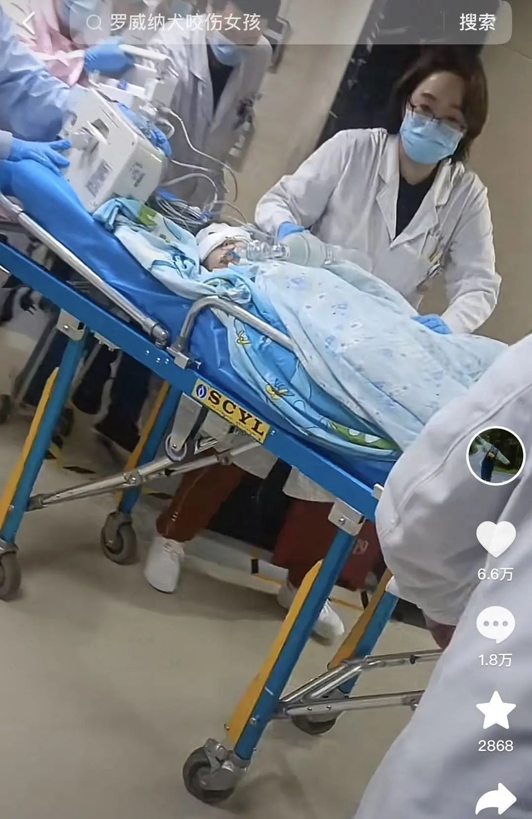 最新進展！被黑犬咬傷女童已轉出ICU - 新浪香港