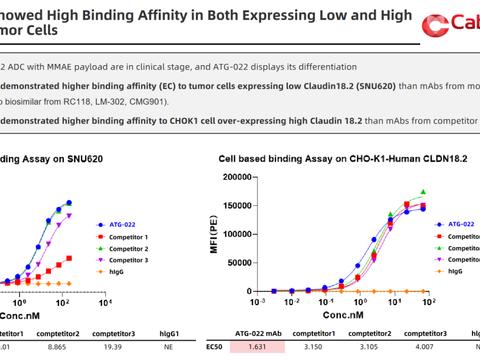 德琪医药布局CLDN18.2 ADC|抗体|肿瘤|细胞株_新浪新闻