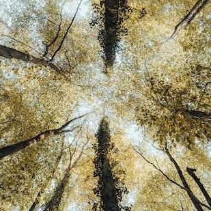 InfoQ 2023年趋势报告：Java 篇|java|InfoQ_新浪新闻